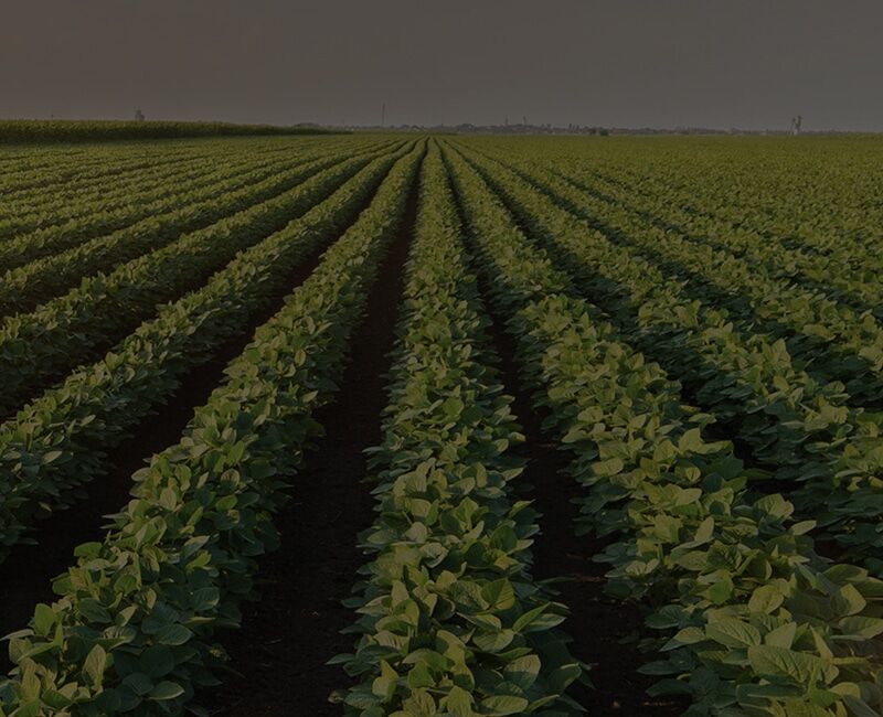 MyDTN Agriculture - DTN